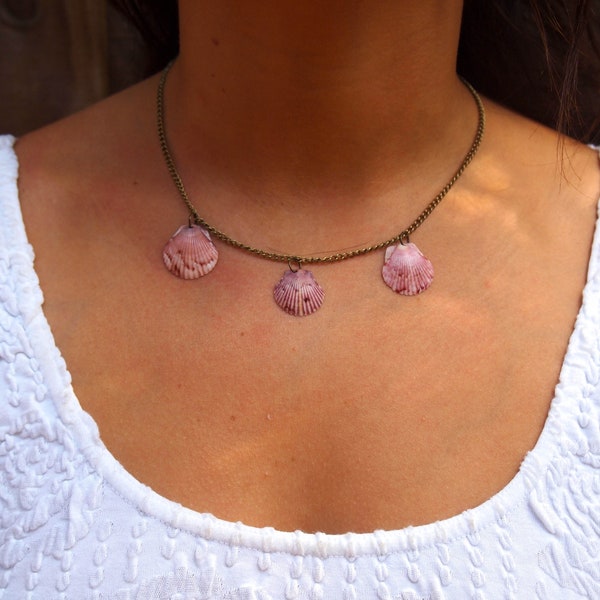 Real Seashell Necklace - Etsy