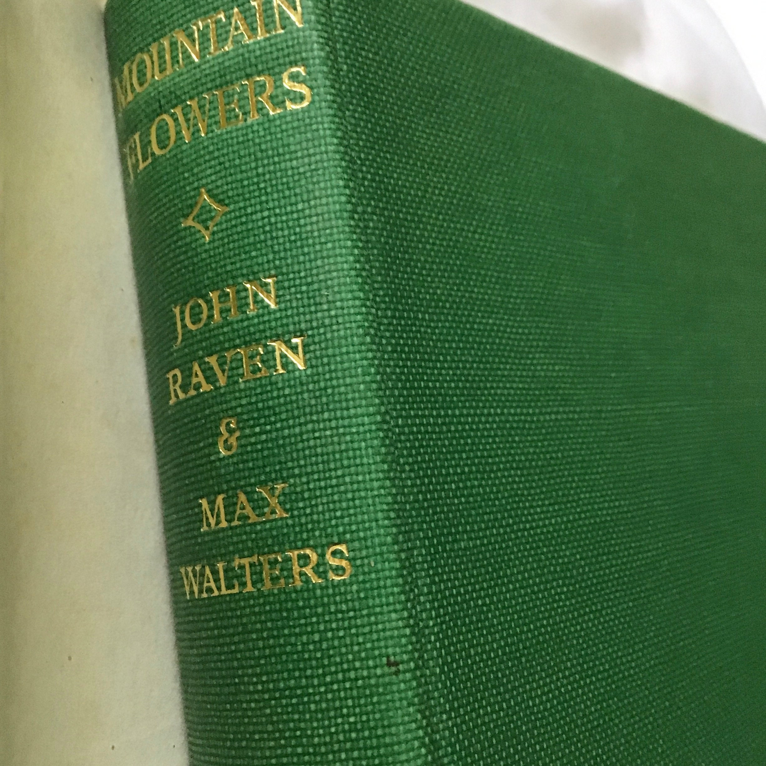 Mountain Flowers by John Raven and Max Walters - Etsy