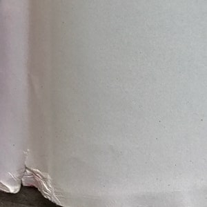 Inscribed Book : " Stay Away From Simon " by Carol and Donald Carrick ...