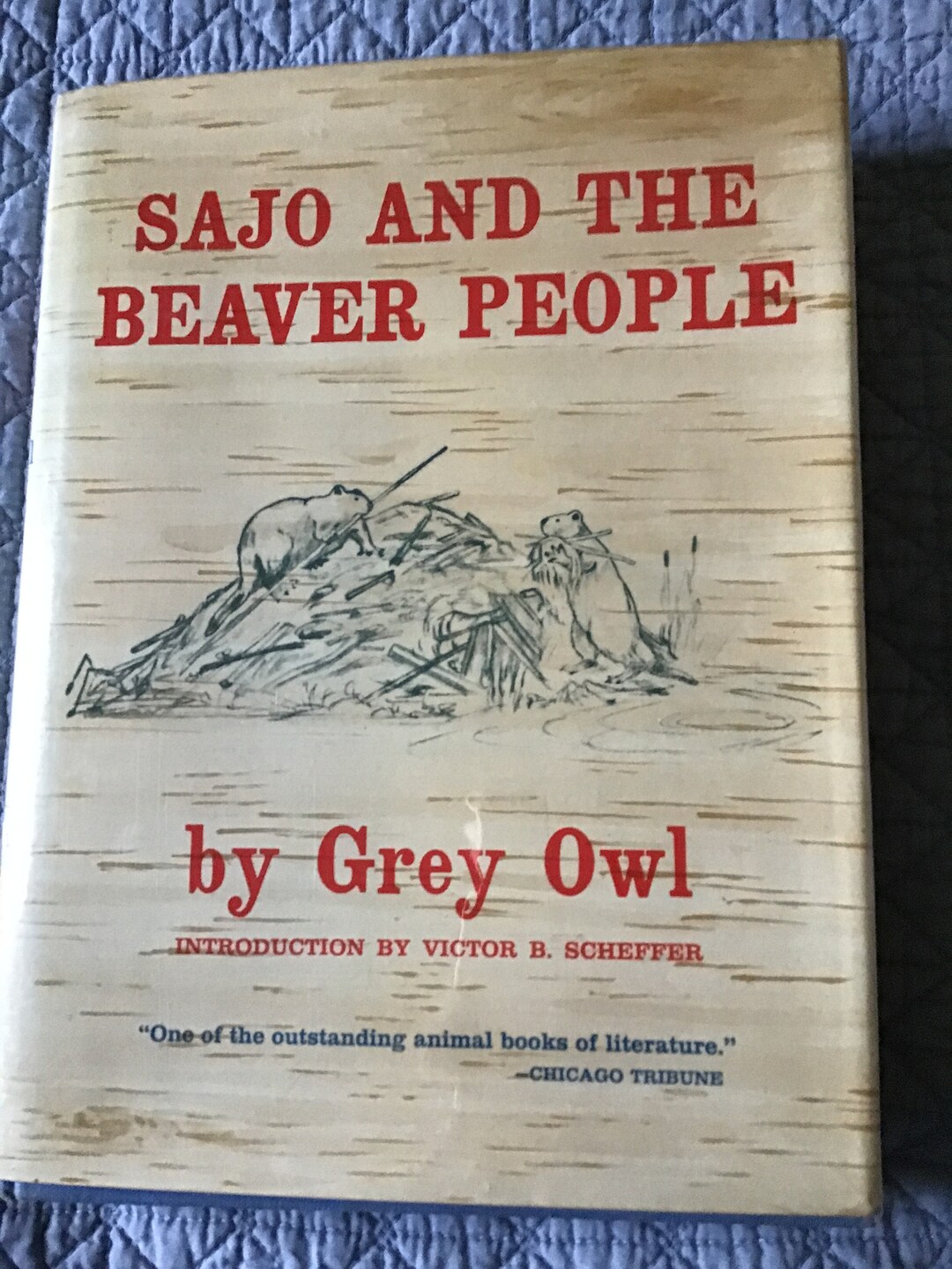 1971 Book Sajo and the Beaver People by Grey Owl - Etsy