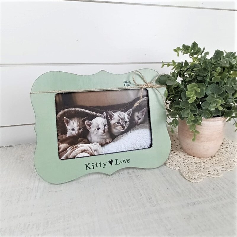 Cat Pictures - Etsy