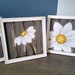 Framed Daisy Art Set White Daisy Wall Paintings Daisy - Etsy