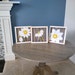 Framed Daisy Art Set White Daisy Wall Paintings Daisy - Etsy