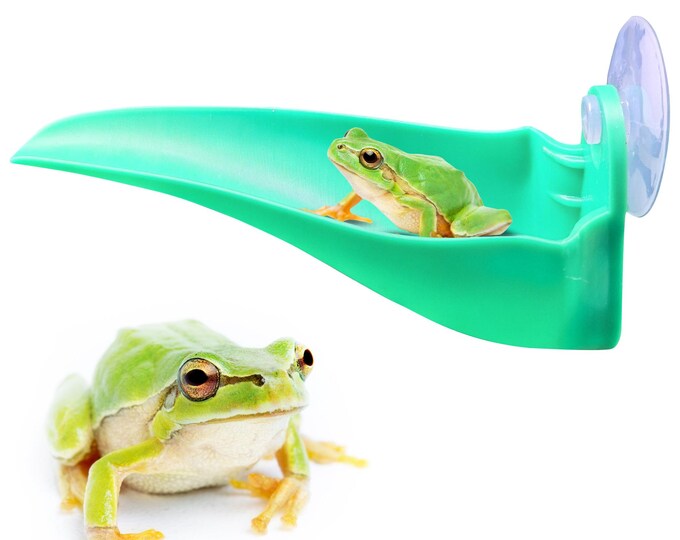 Frog Pools- 3D Printed Breeding Pool for Dart Frogs and Small Reptiles ...