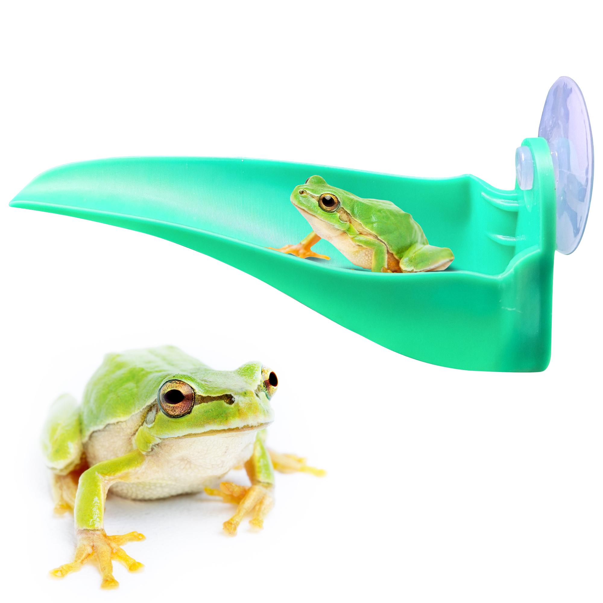Frog Pools- 3D Printed Breeding Pool for Dart Frogs and Small Reptiles ...