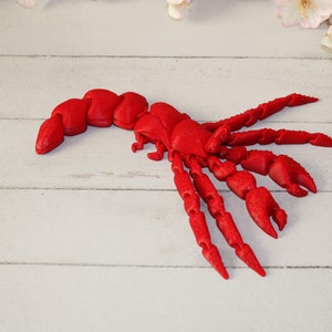 3D Printed Articulated Hermit Crab and Shell - Etsy