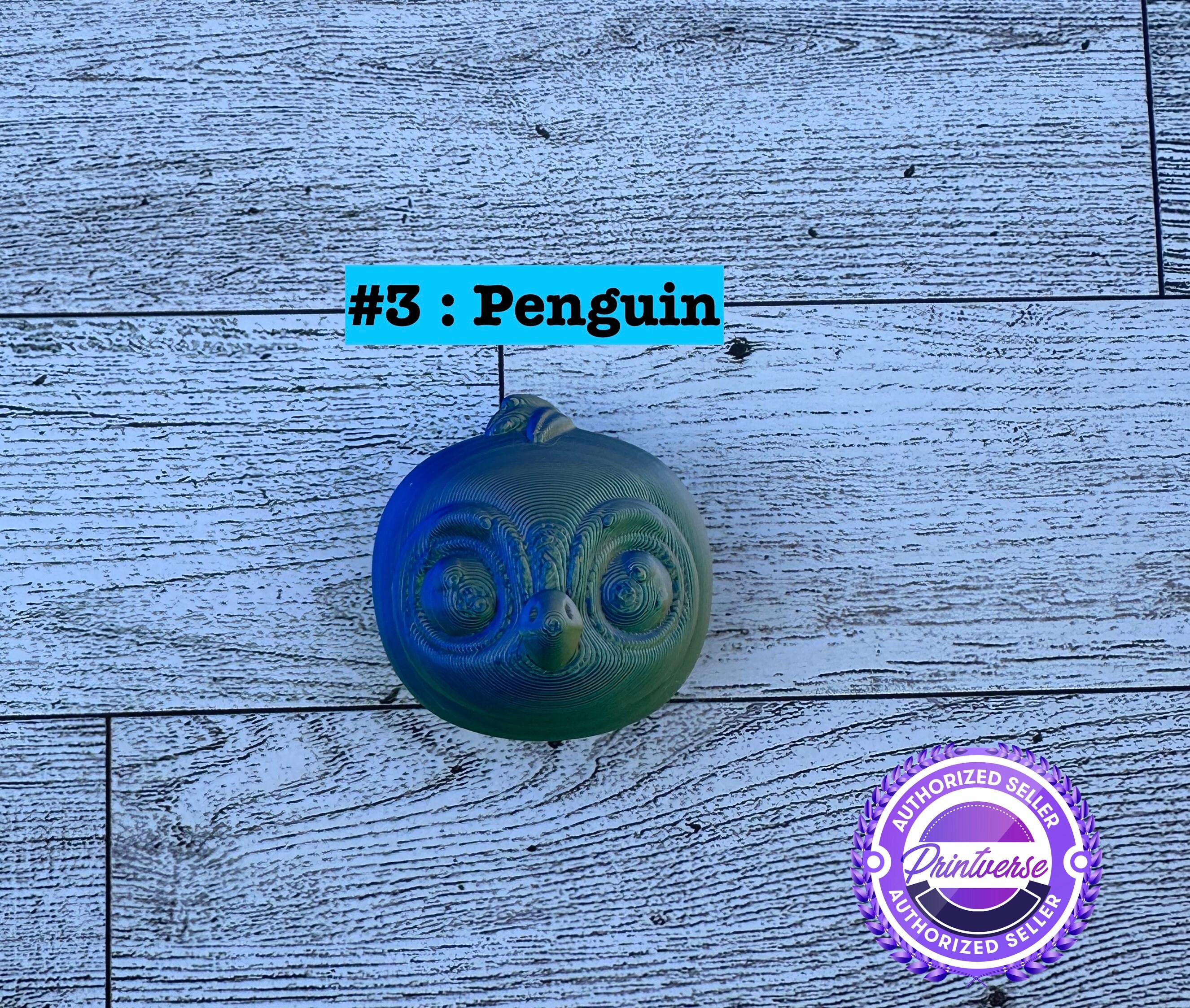 3D Printed Magnets (5 to Choose From) - Etsy