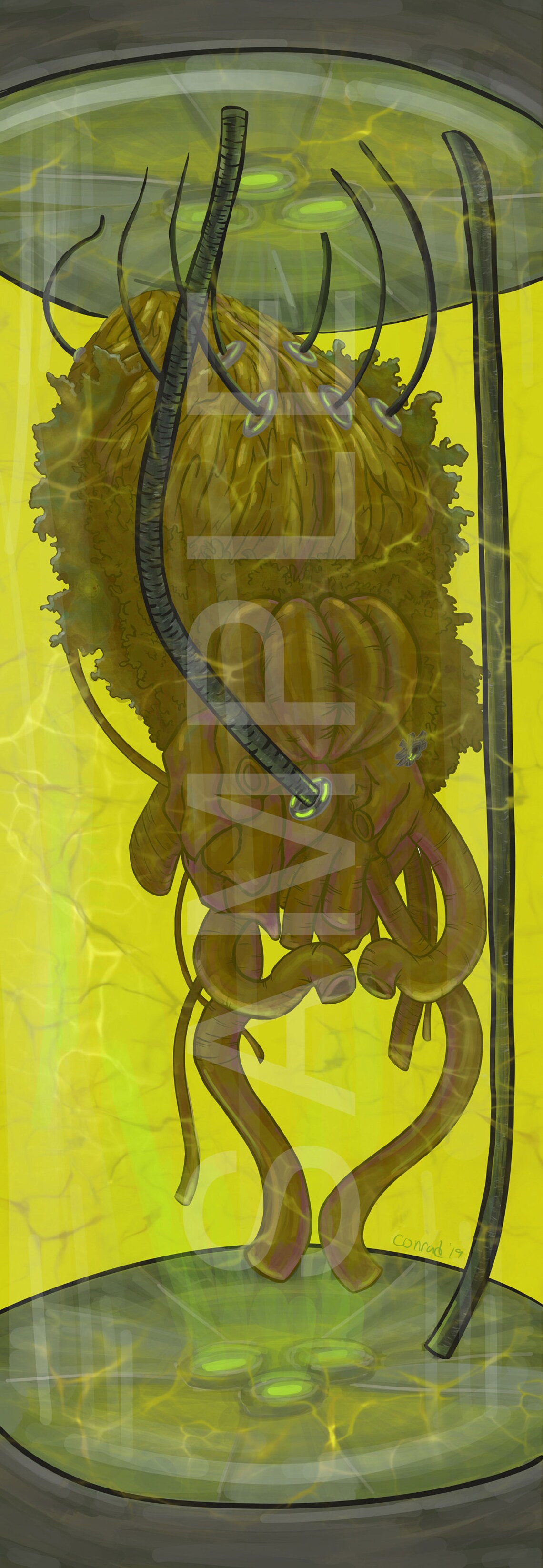 Pacific Rim Kaiju Brain Dakimakura Body Pillow Pacific Rim | Etsy