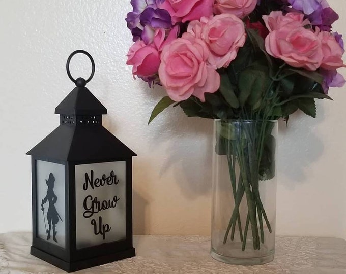 Peter Pan Lantern (color Options) - Etsy
