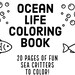 Ocean Life Coloring Book for Kids Level Easy Shark Dolphin Fish Snails ...