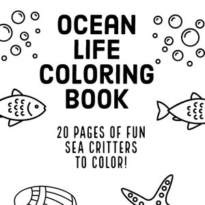 Ocean Life Coloring Book for Kids Level Easy Shark Dolphin Fish Snails ...