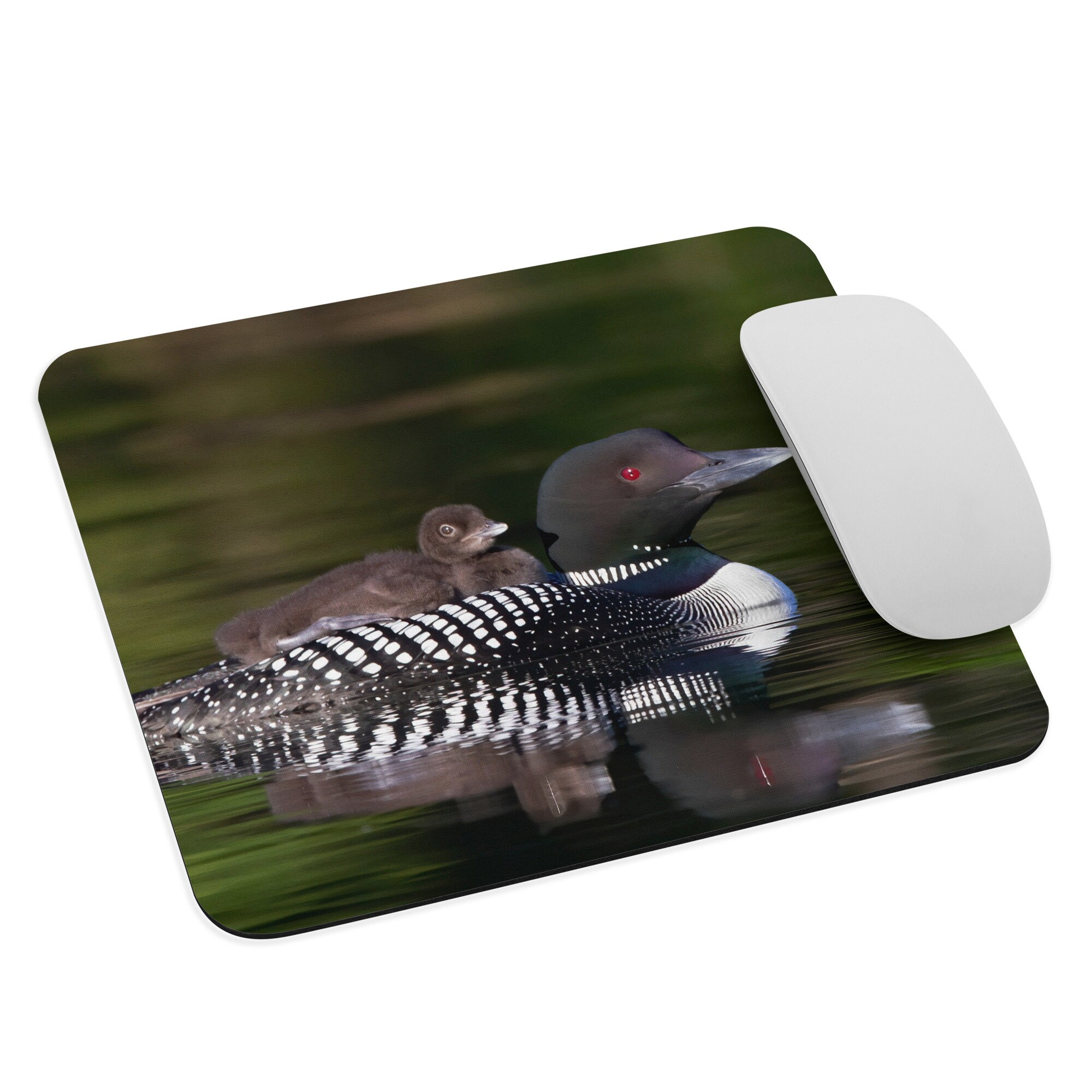 Common Loon - Minnesota State Bird - Mouse Pad - Midwest Nature Bird ...
