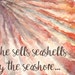 Watercolor Seashell Collection 8 Png - Etsy