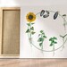 Sunflower Life Cycle Clip Arts and Print - Etsy