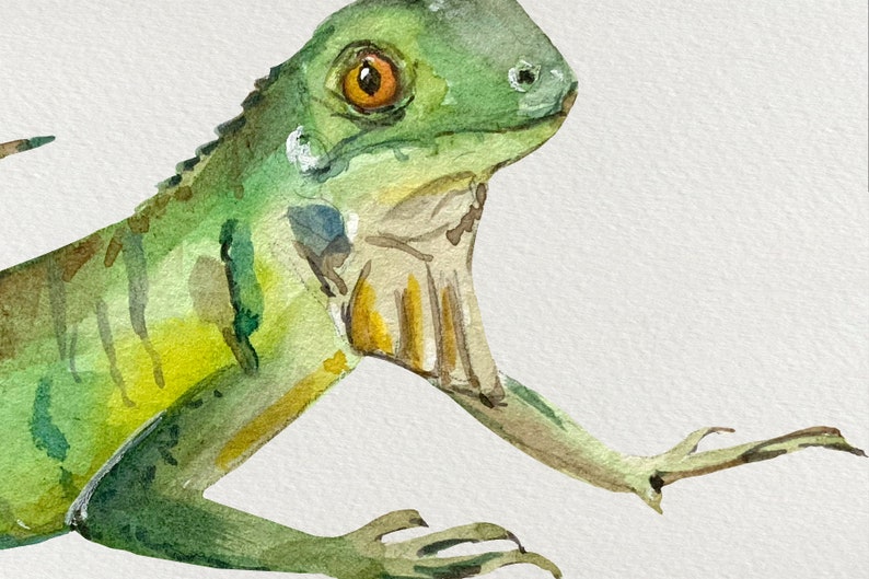 Watercolor Iguanas Clip Art - Etsy