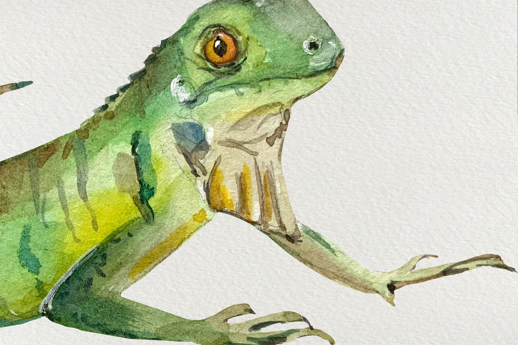 Watercolor Iguanas Clip Art | Etsy