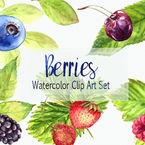 Berries Watercolor Clip Art. Blackberry PNG Clipart. Hand - Etsy