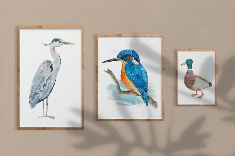 Pond and Lake Clip Arts and Posters - Etsy