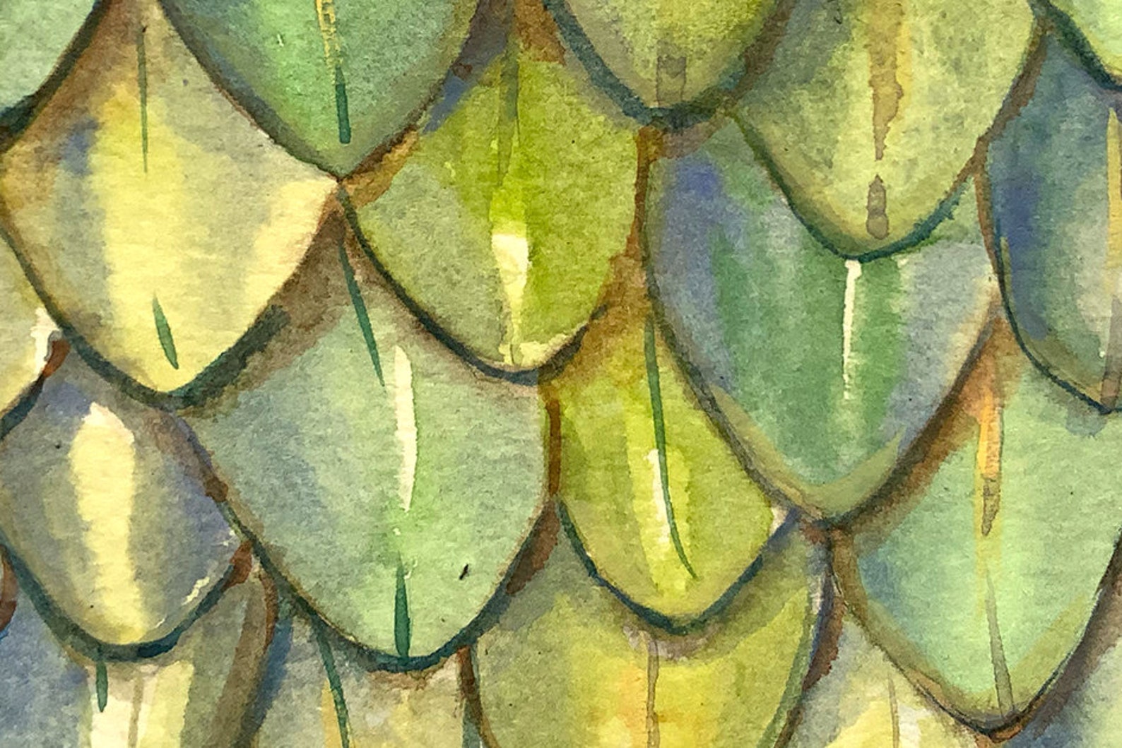 Watercolor Dragon Scale Clip Art - Etsy