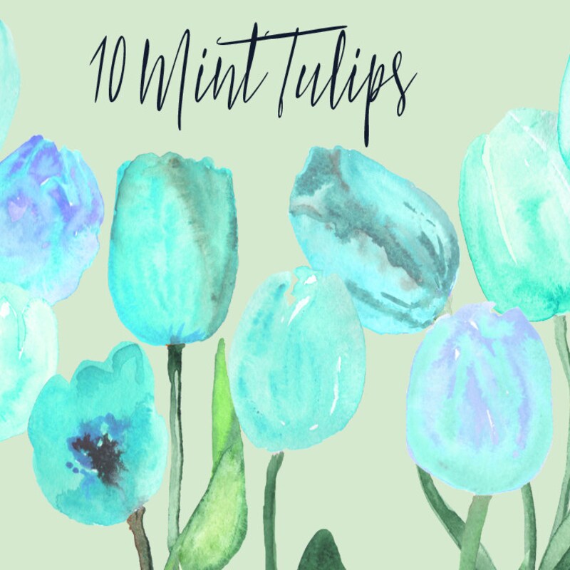 Mint Tulip - Etsy
