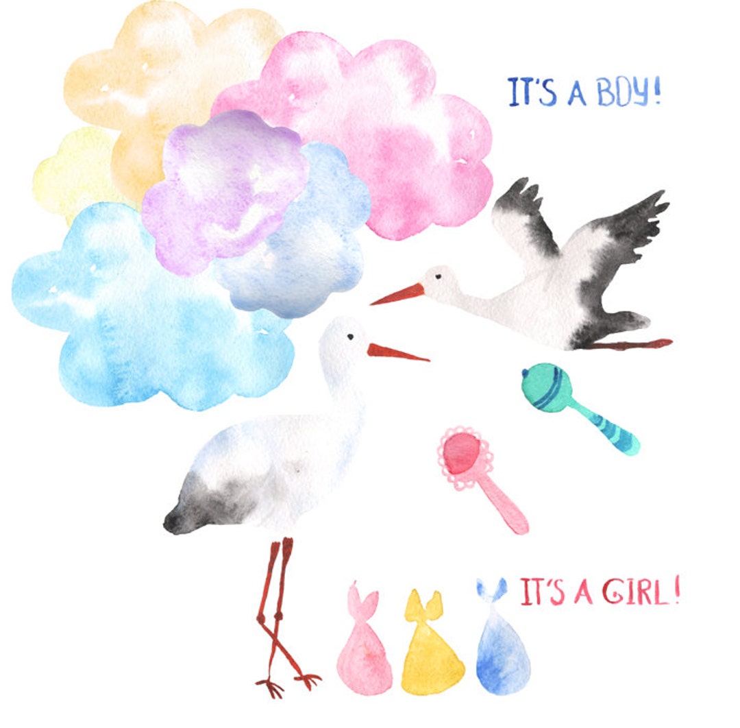 Watercolor Baby Delivery Storks Digital - Etsy