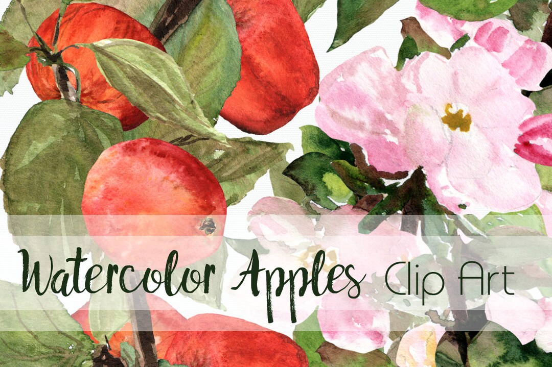Watercolor Apples Clip Art Collection Wreaths - Etsy