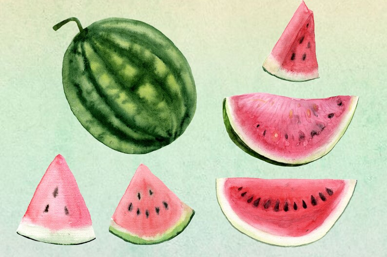Watercolor Watermelon Clip Art - Etsy