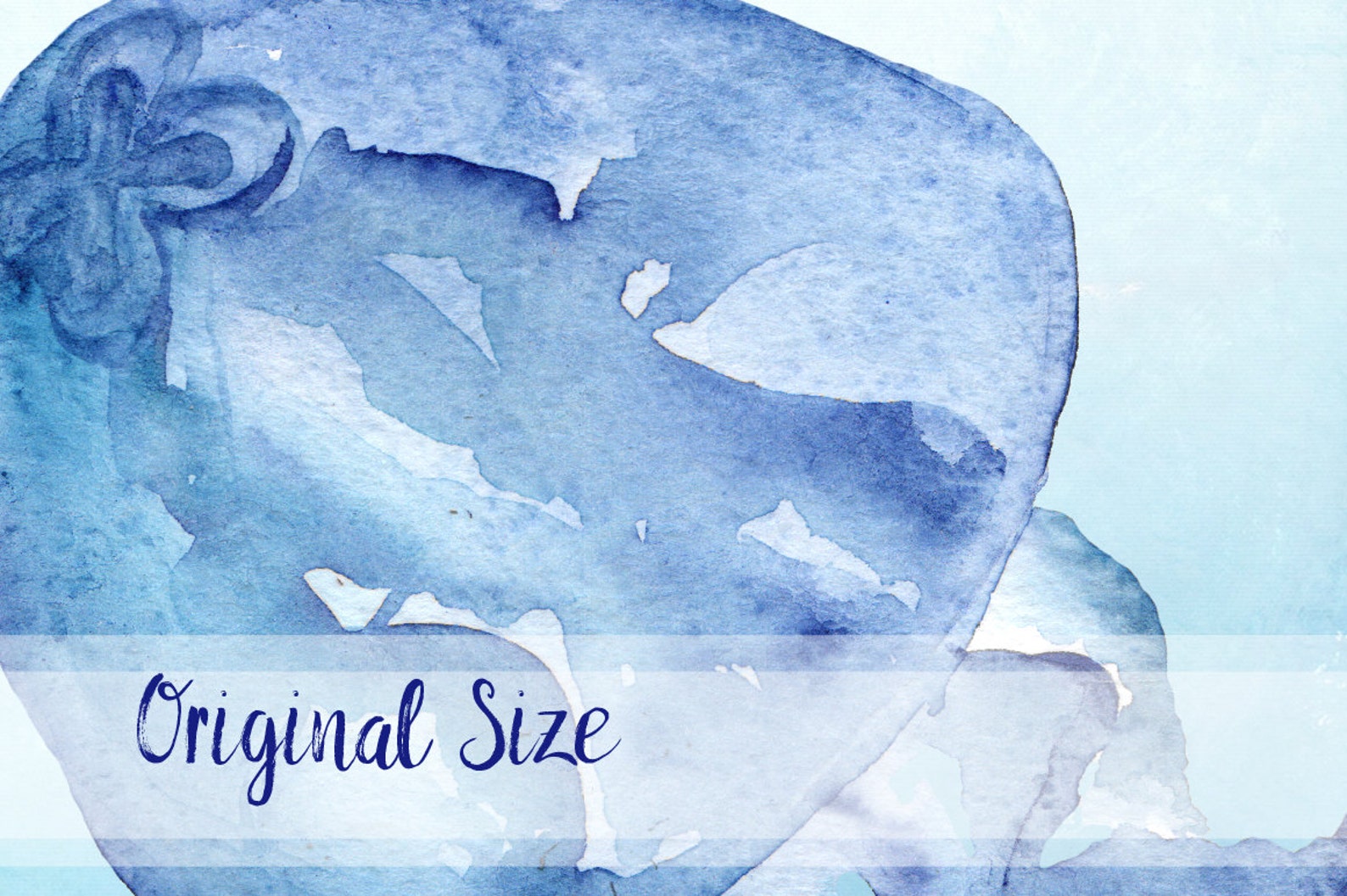 Watercolor Sea Creatures Clipart Set | Etsy