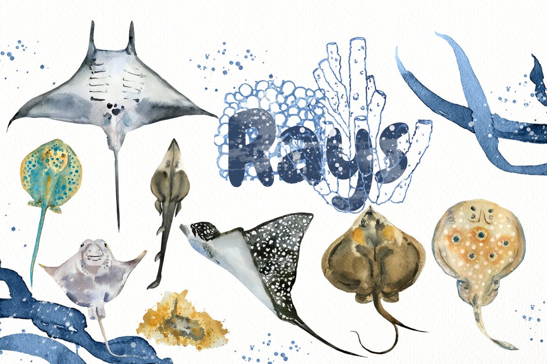 Watercolor Rays Clip Arts, Poster, Pattern - Etsy