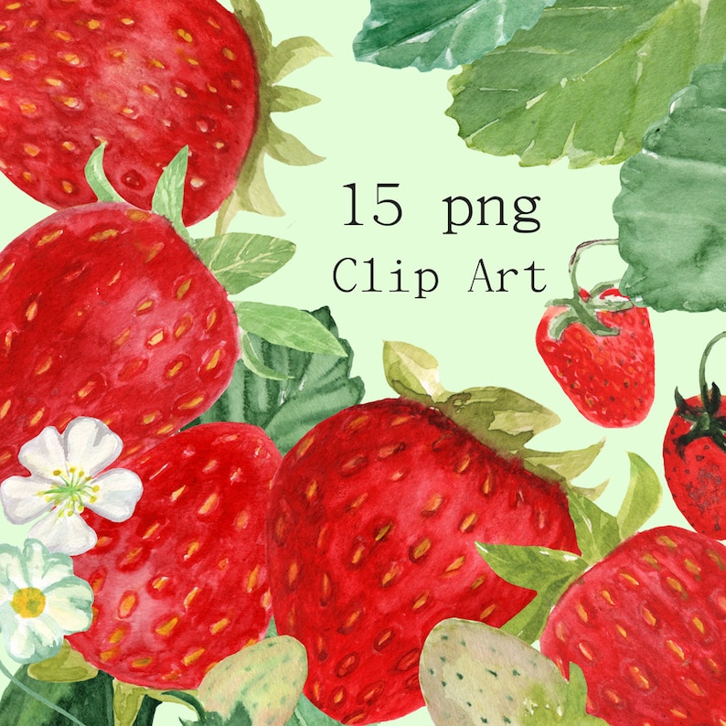15 Hand-painted Watercolor Strawberries Clip Art - Etsy