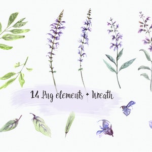 Watercolor Purple Sage Clip Art Set - Etsy