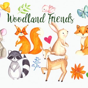 Woodland Friends Watercolor Clip Art Set | Etsy