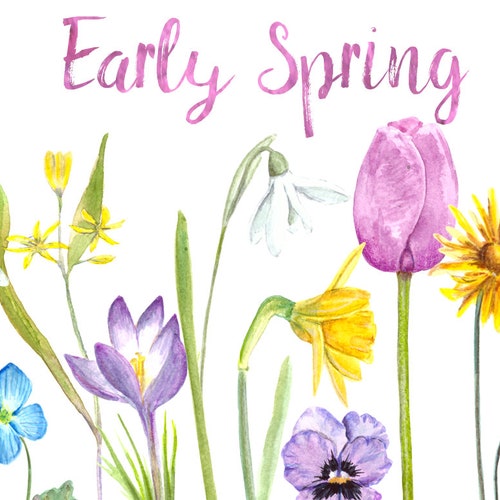 Easter Flowers Clipart Spring Watercolor Flower Clip Art - Etsy UK