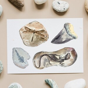 Fossils Watercolor Clip Art Set - Etsy