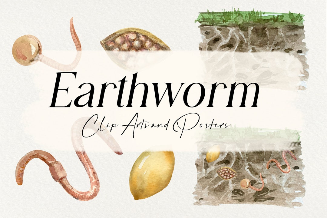 Earthworm Life Cycle Clip Arts and Poster - Etsy