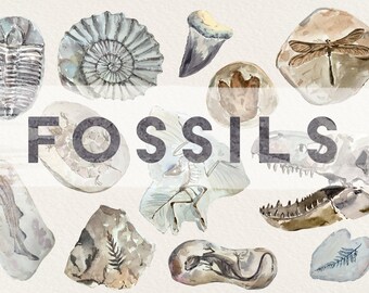 Dinosaur Skeleton Collage Sheet Vintage Digital Image - Etsy