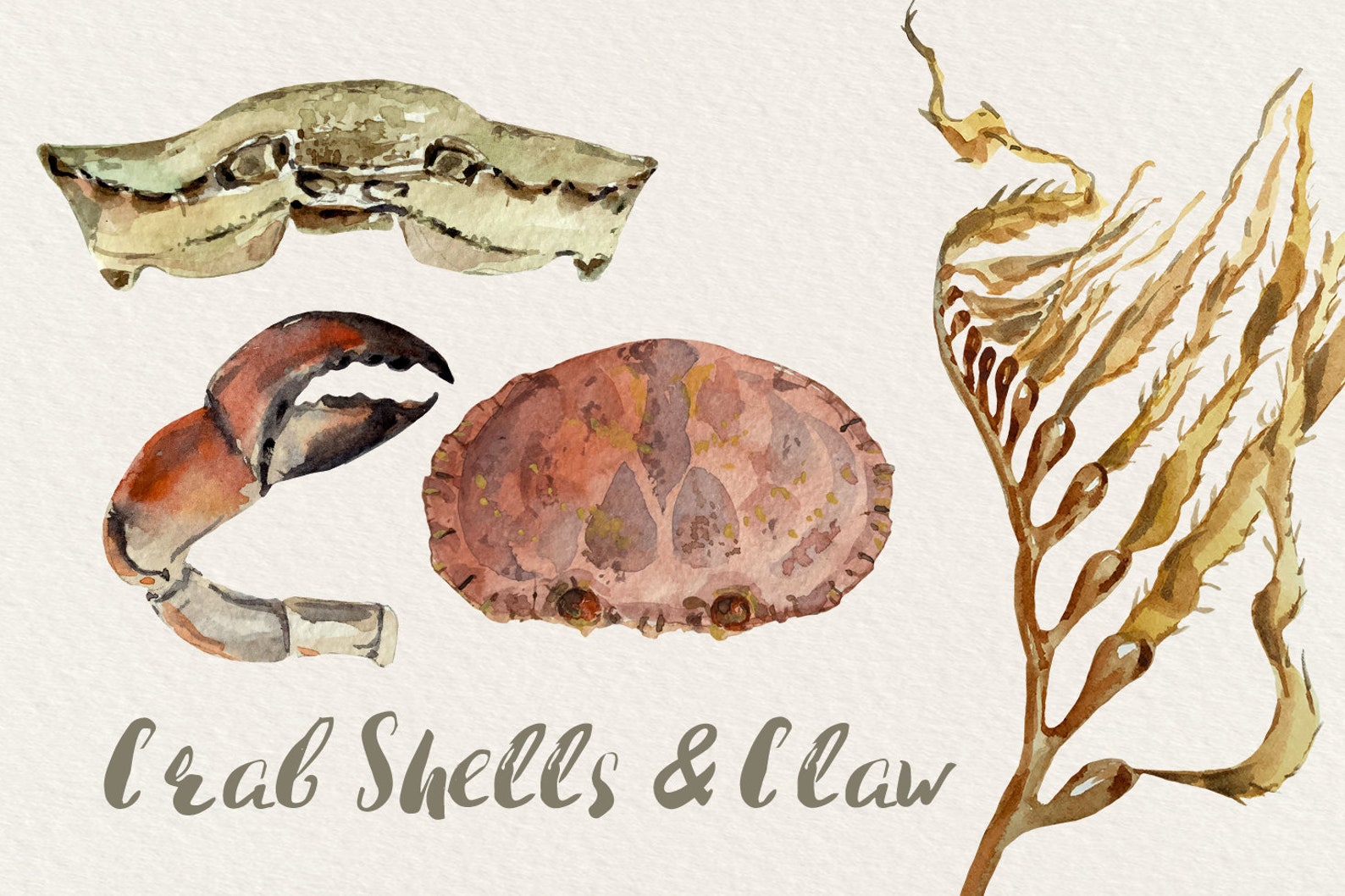 Beachcombing Clip Arts and Poster - Etsy