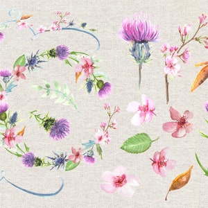 Watercolor Thistle and Cherry Clip Art Set - Etsy