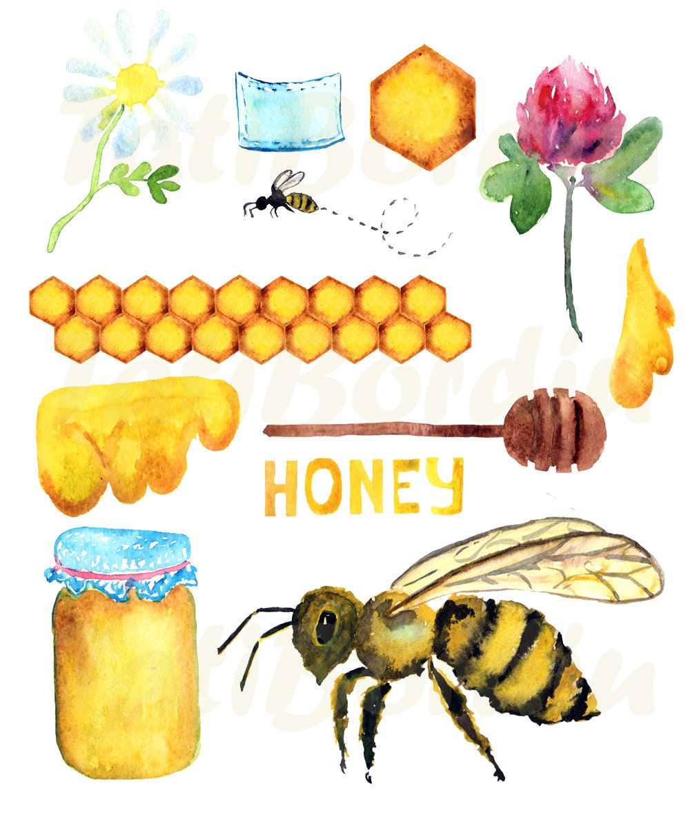 Waterclor Honey and Bee Clip Art | Etsy