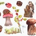 In the Forest Clip Art Set - Etsy
