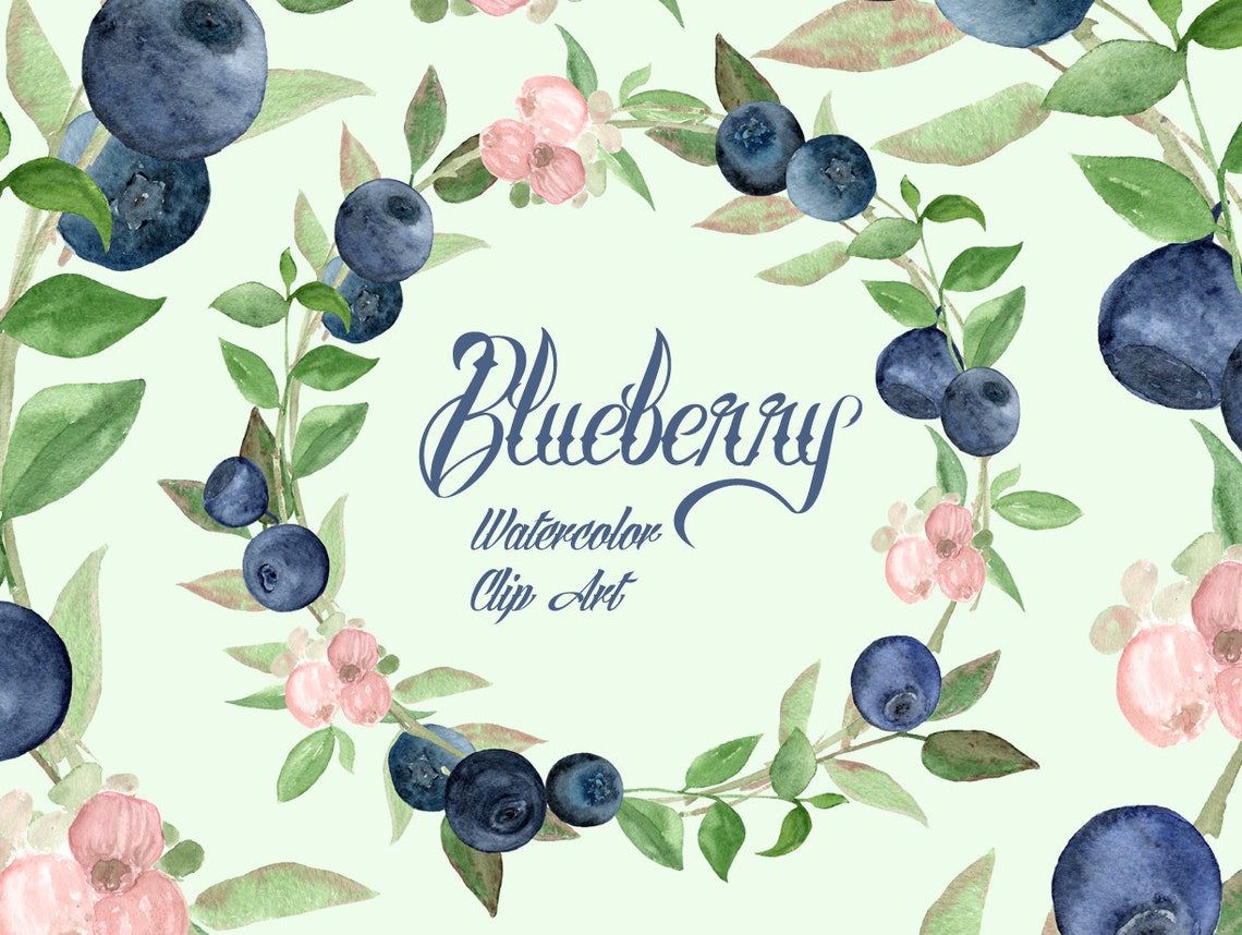 Watercolor Blueberry Clip Art | Etsy