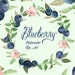 Watercolor Blueberry Clip Art | Etsy