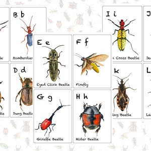 Beetles ABC Flashcards - Etsy