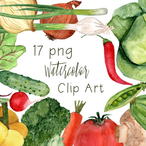 Hand-painted Watercolor Owl Clip Art - Etsy