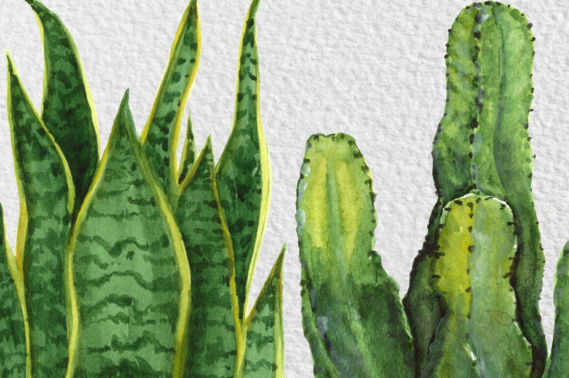 Watercolor Indoor Plants Clip Art Set | Etsy