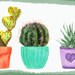 Watercolor Cactuses Clip Art Set - Etsy