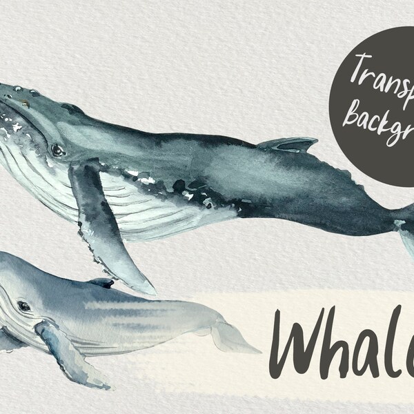 Whale Clip Art - Etsy UK
