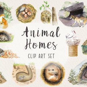 Animal Homes Watercolor Clip Art Set - Etsy