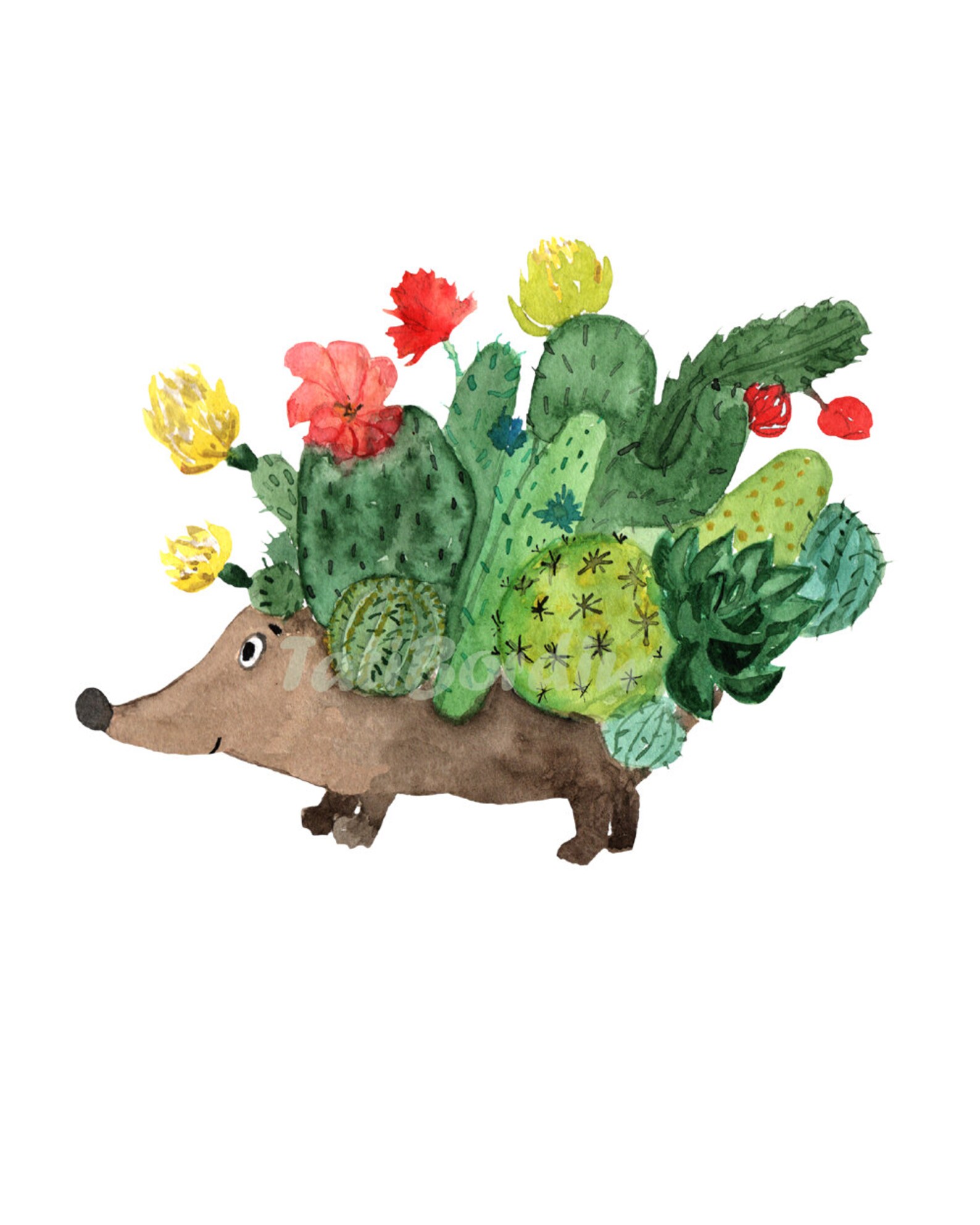 Watercolor Cactus Hedgehog PNGJPG - Etsy