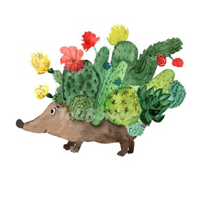 Watercolor Cactus Hedgehog PNGJPG - Etsy